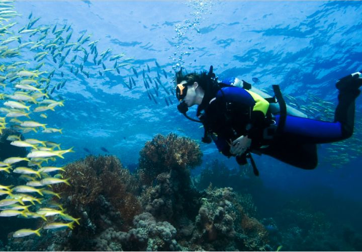 Buy Now, Pay Later at Orca Diving Center with Tabby