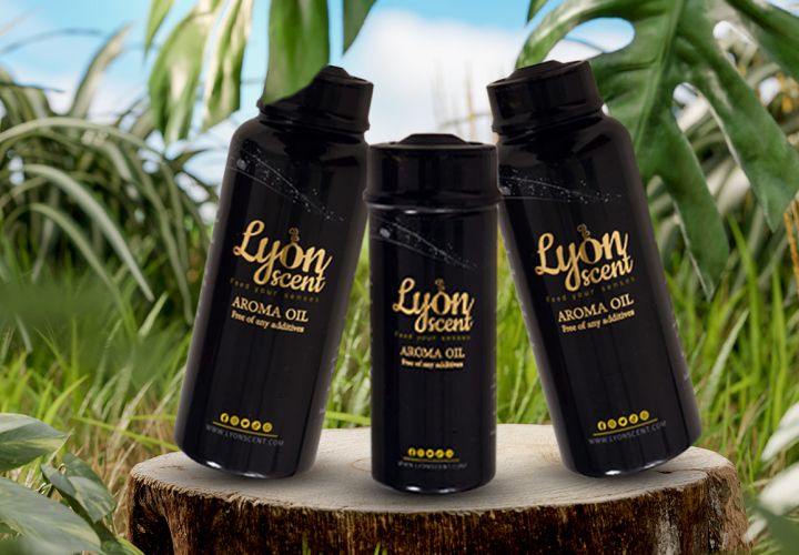 Buy Now, Pay Later at Lyon Scent with Tabby