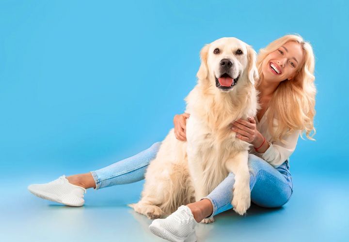 Buy Now, Pay Later at Vet Plus Vet Center with Tabby