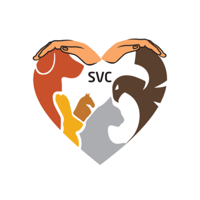 Buy Now, Pay Later at Swiss for Veterinary Services with Tabby